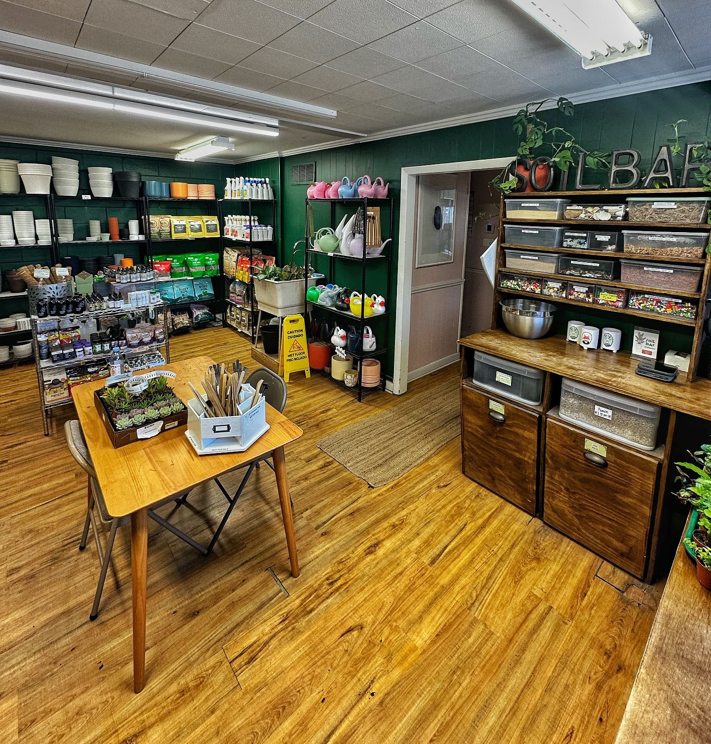 Houseplants | Urban Pothos Houseplant Shop | Raleigh NC