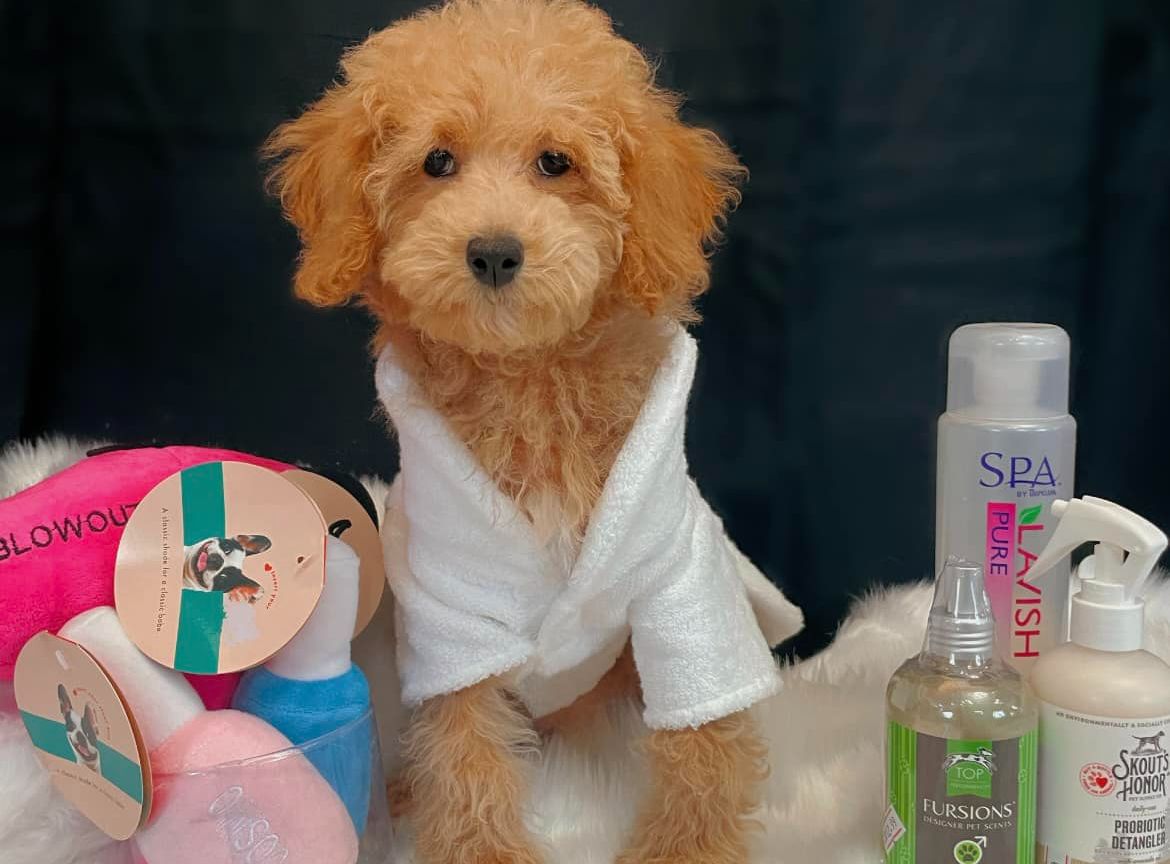 Puppyworld | Pet Shop | Franklin, WI