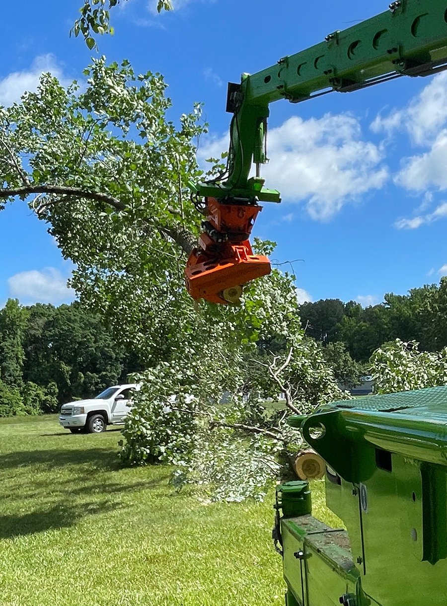 Tree Removal Service High Point, NC | Greensboro, NC