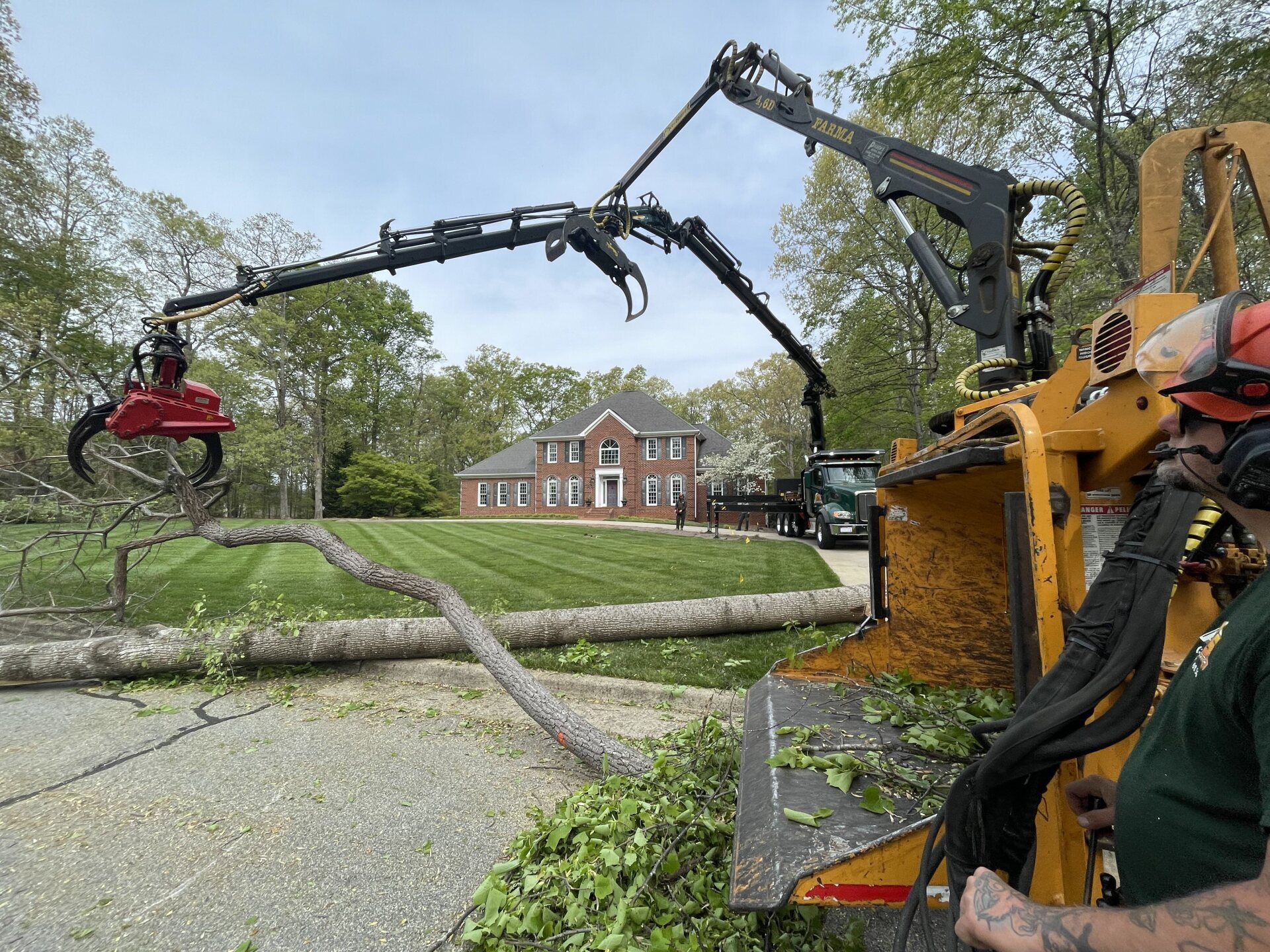 Photo Gallery | Dillon Tree Service
