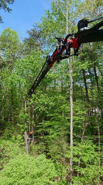 Tree Company Greensboro, NC | High Point, NC