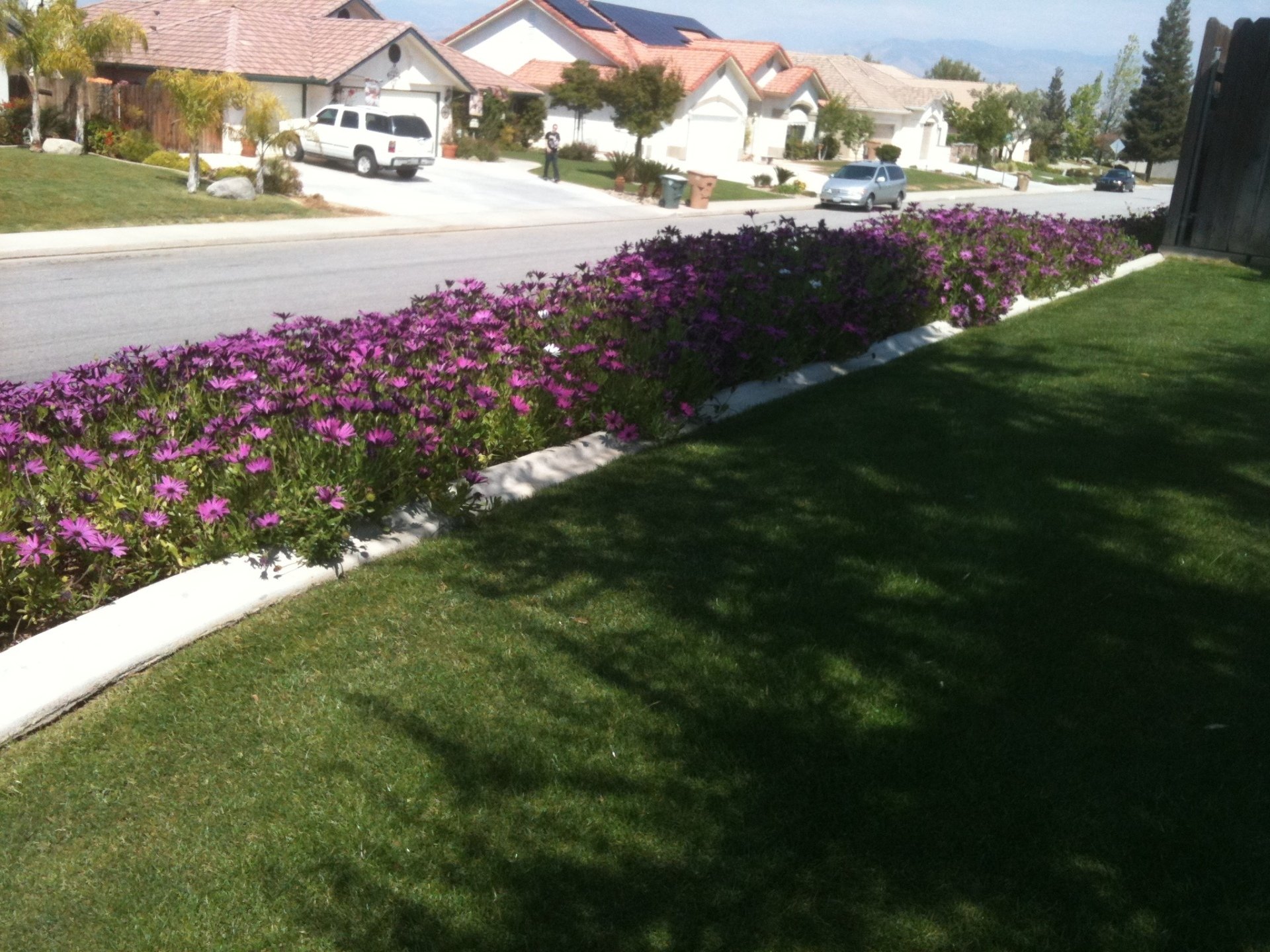 Concrete Curbing | Paver Edging | Bakersfield, CA