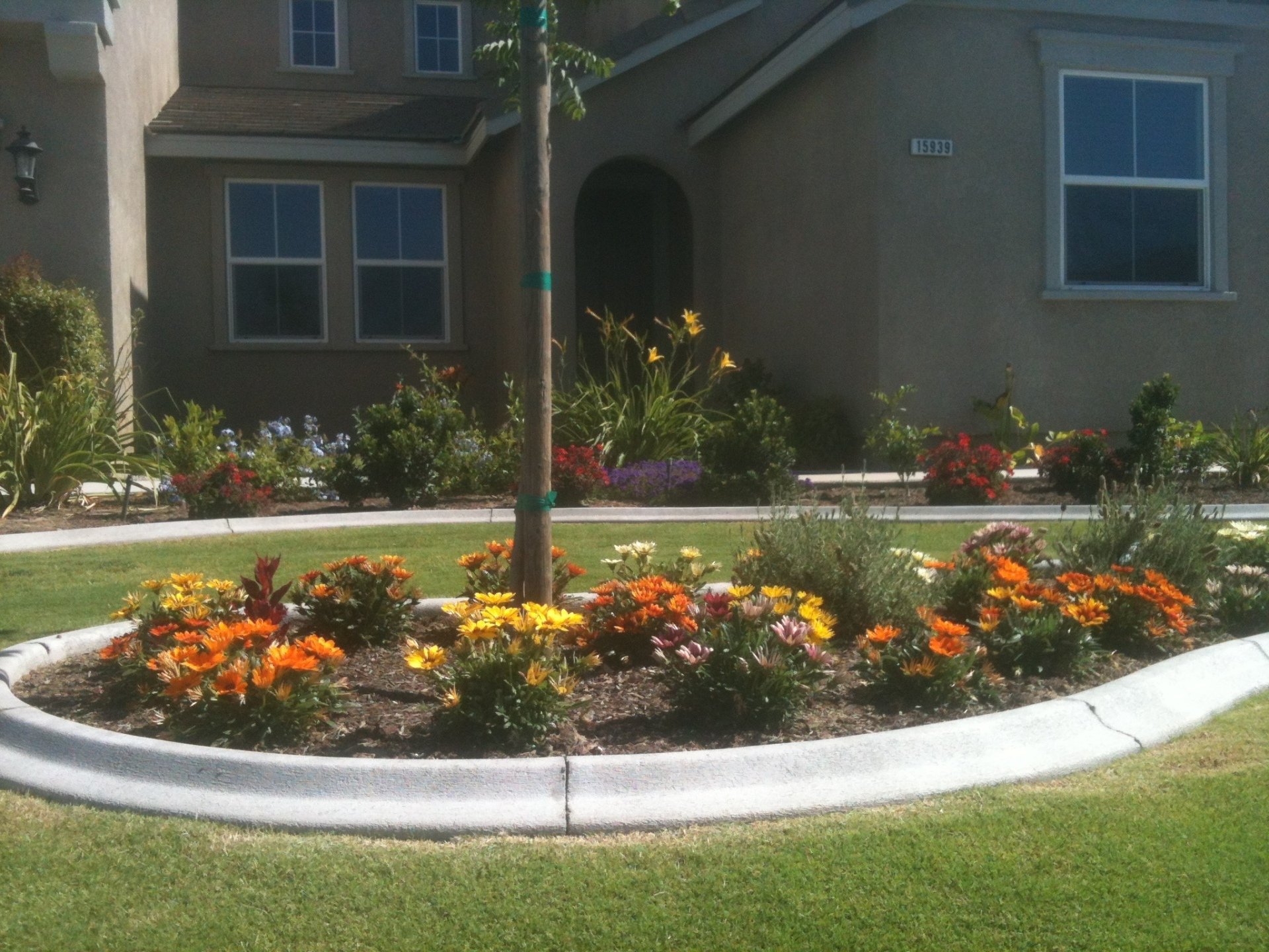 Concrete Curbing | Paver Edging | Bakersfield, CA