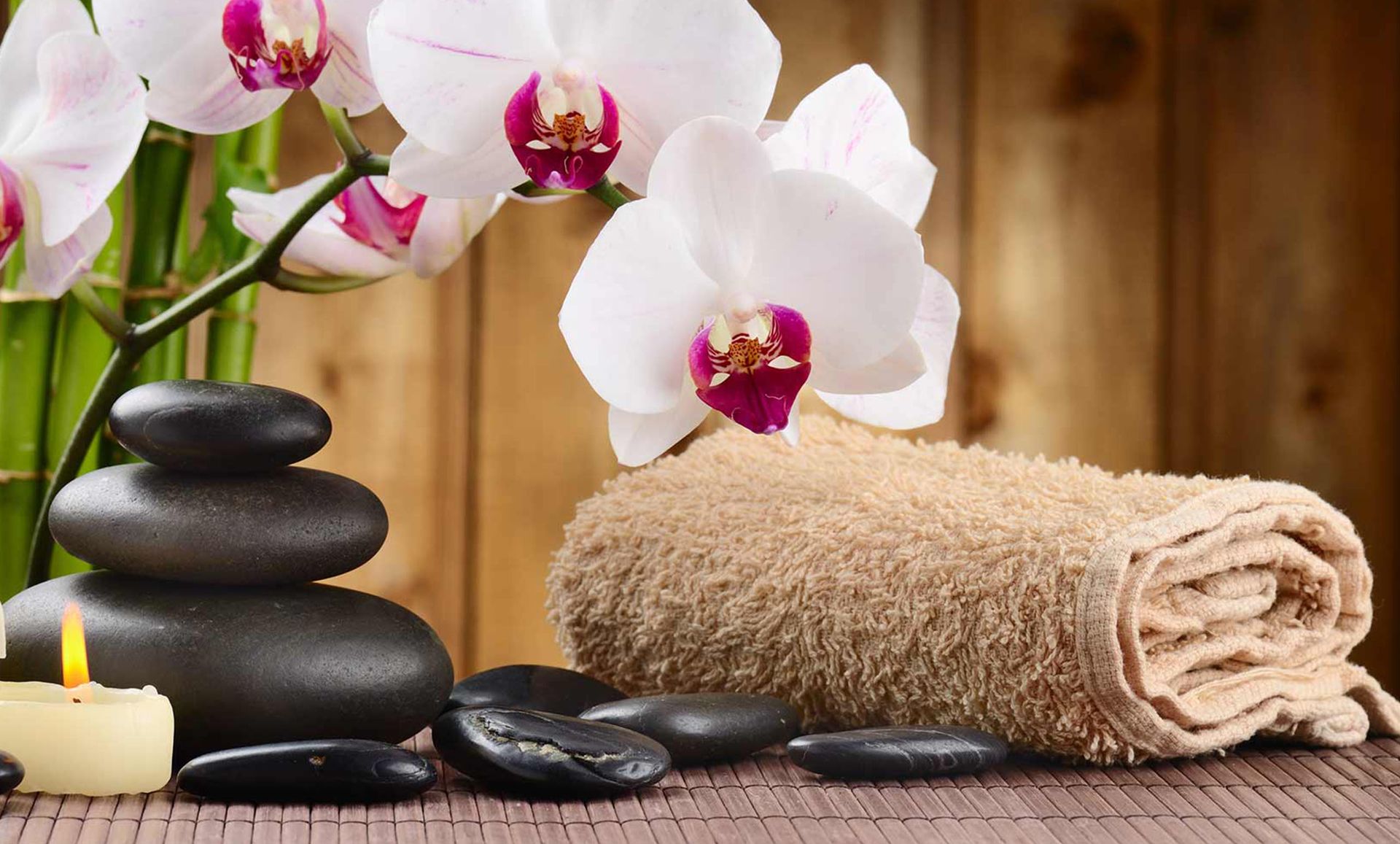Massage Spa | True Thai Massage & Spa | Houston, TX