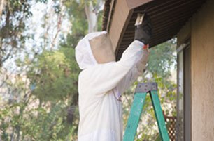 Mt Helix Pest & Termite Control | Pest Control San Diego CA