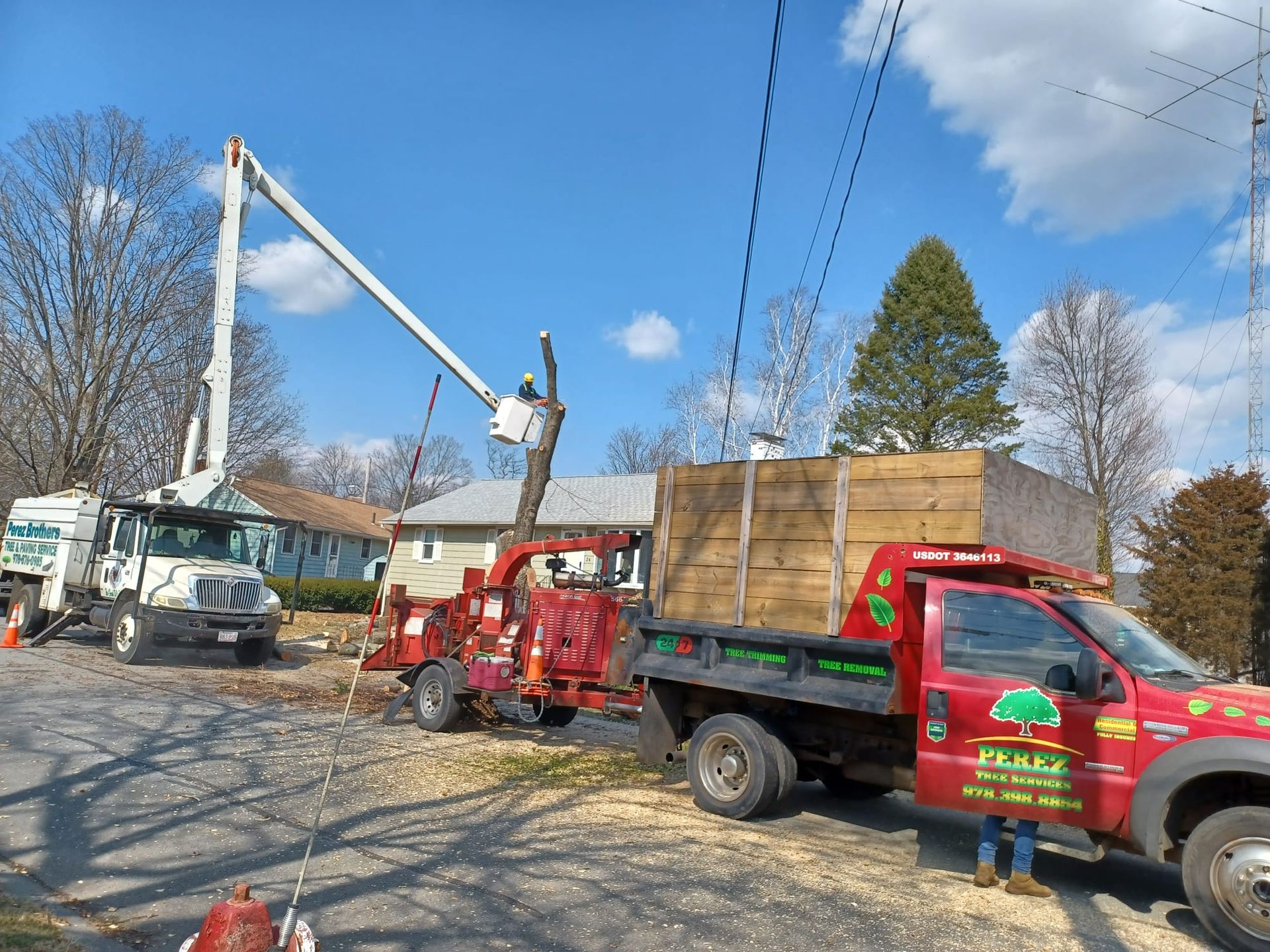 Tree company | Perez Tree Service & Hardscaping | Lynn, MA