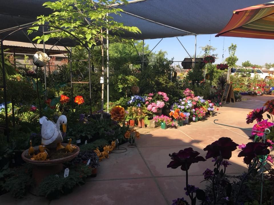 Landscaper Robby's Nursery & Calico Gardens | Bakersfield CA