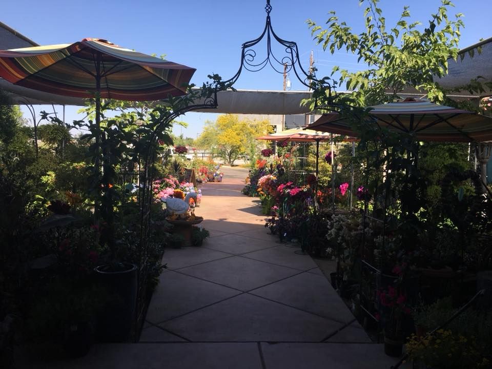 Landscaper Robby's Nursery & Calico Gardens | Bakersfield CA