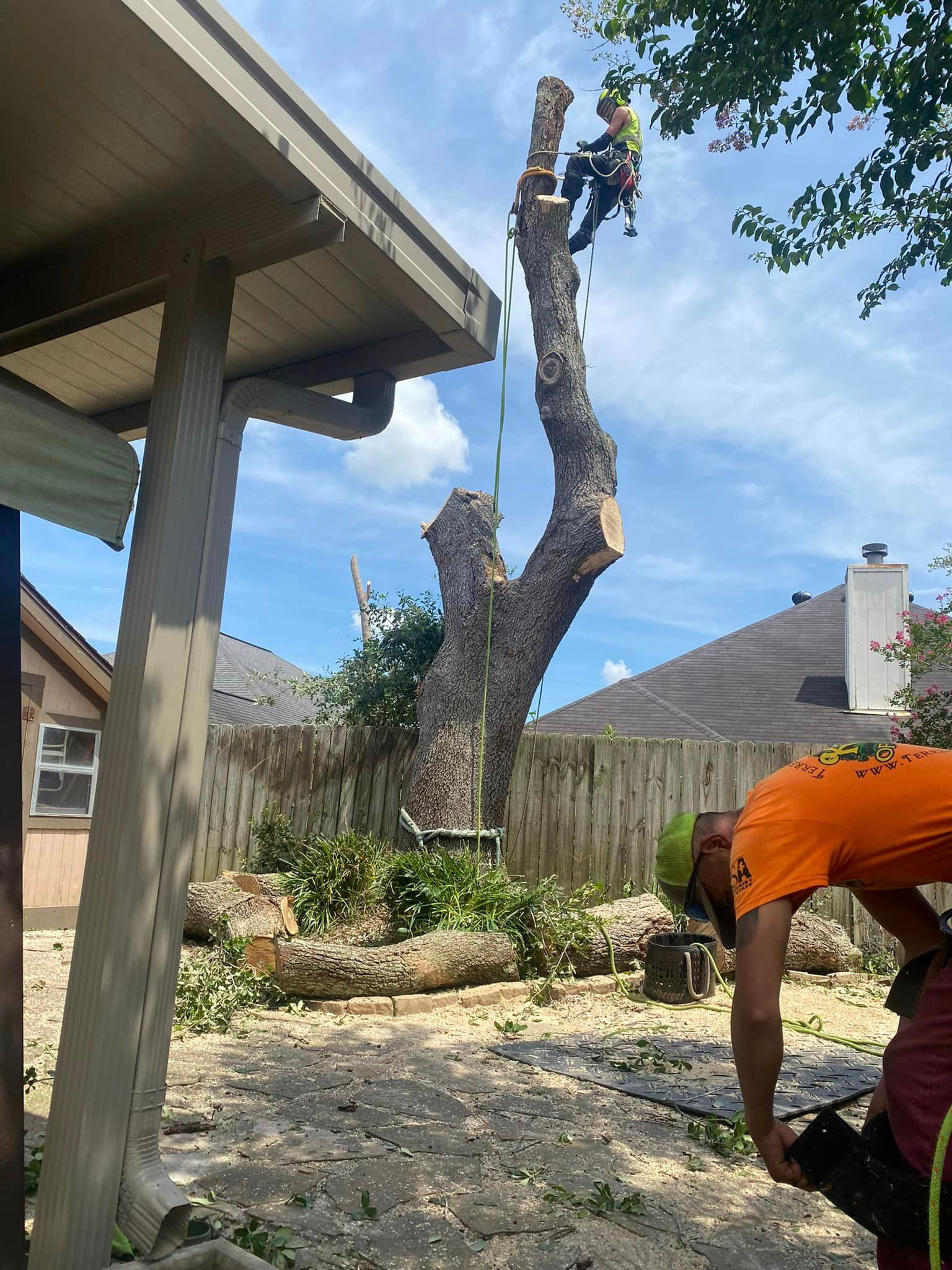 Tree Services Groves | Nederland | Terrell's Tree Service
