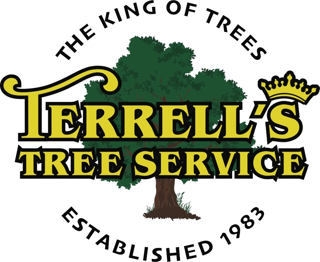 Tree Services Groves | Nederland | Terrell's Tree Service