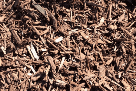 Bark | Black Mini Bark | Lodi, CA