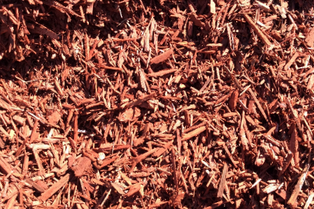 Bark | Black Mini Bark | Lodi, CA