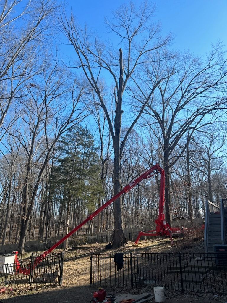 Spider Lift | Tree Cutting Services | Clarksville, TN