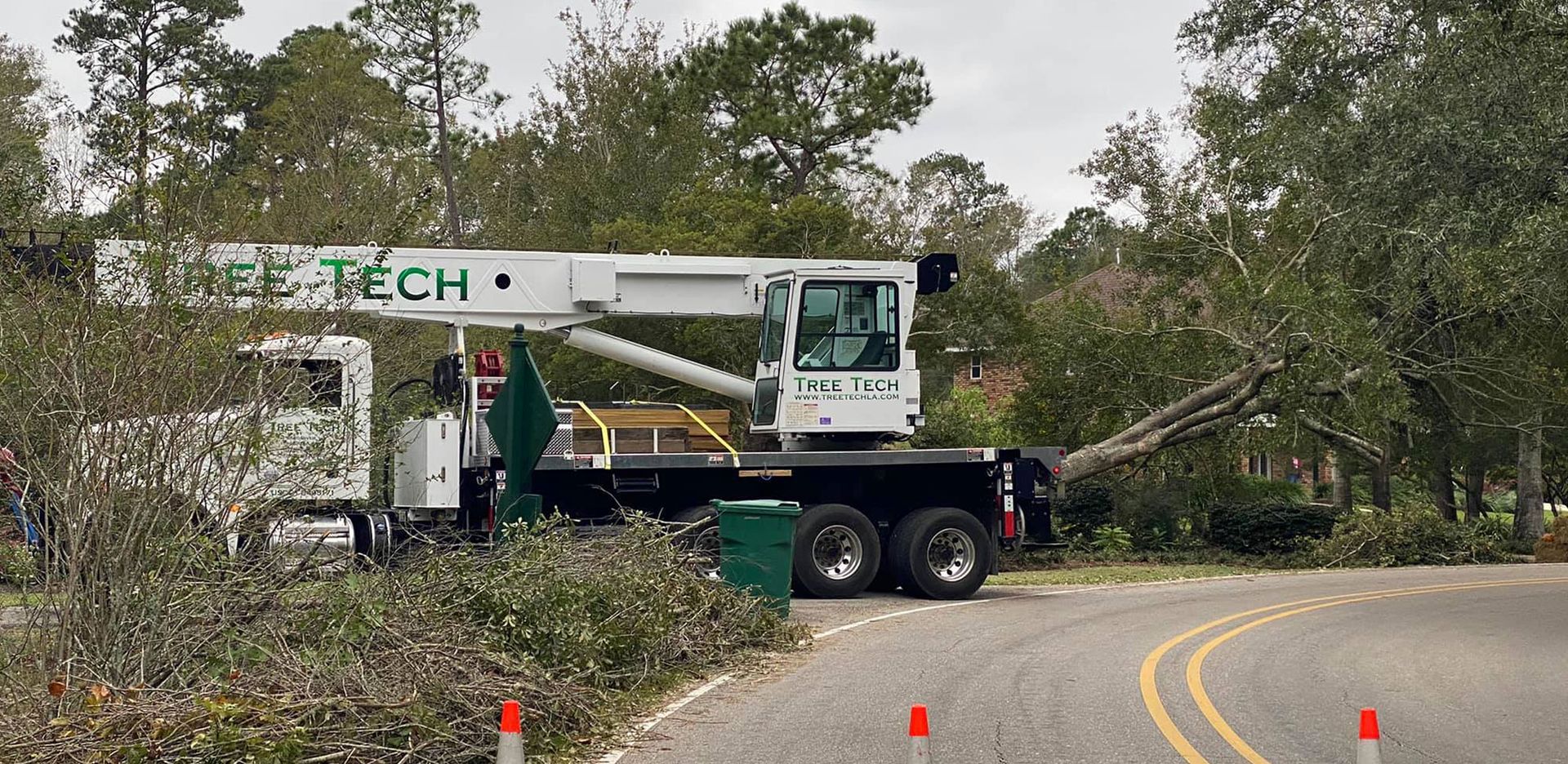 Tree Service Covington, LA | Hammond, LA