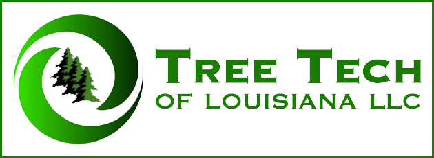 Tree Service Covington, LA | Hammond, LA