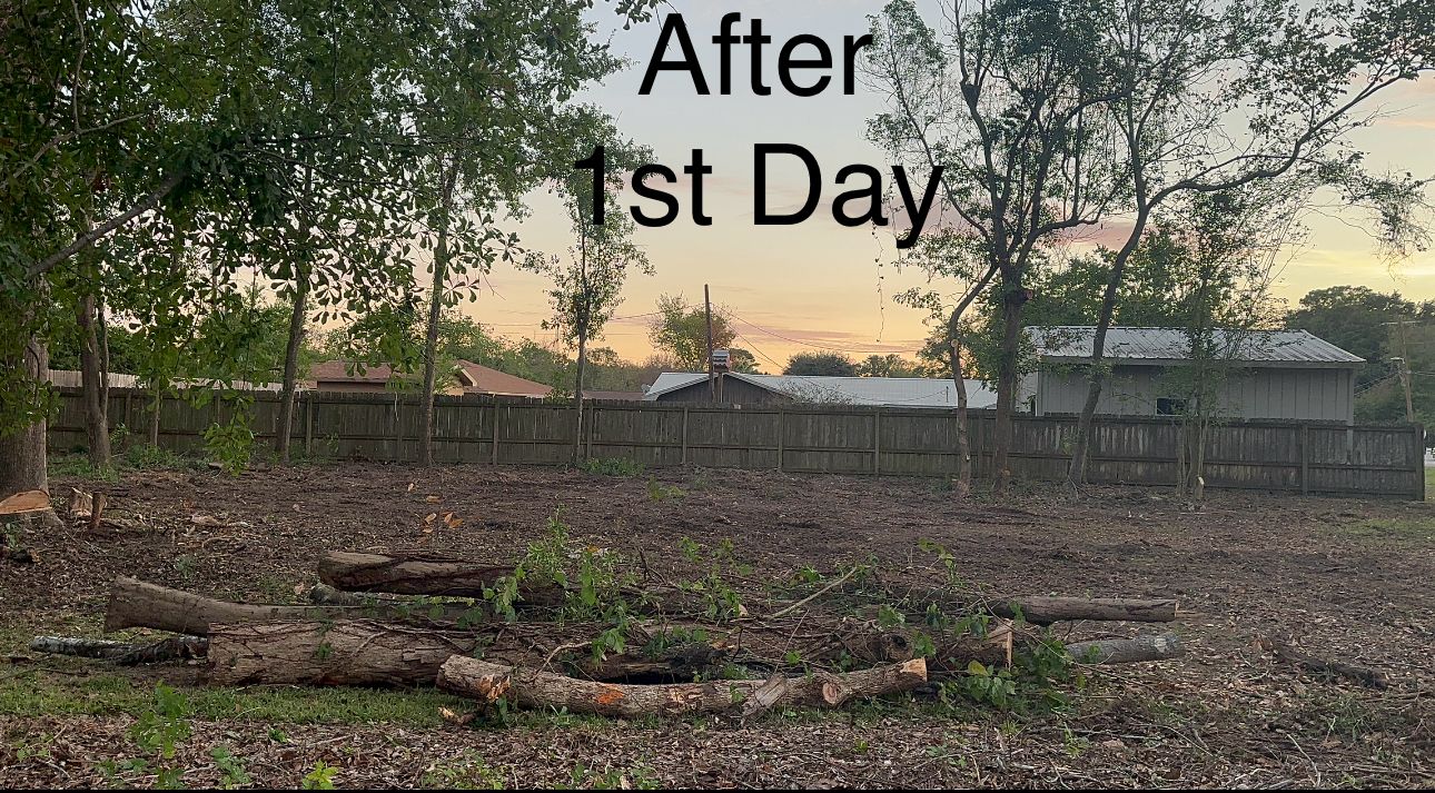 Gallery | Davis Tree Experts | Vidor, TX | Beaumont, TX