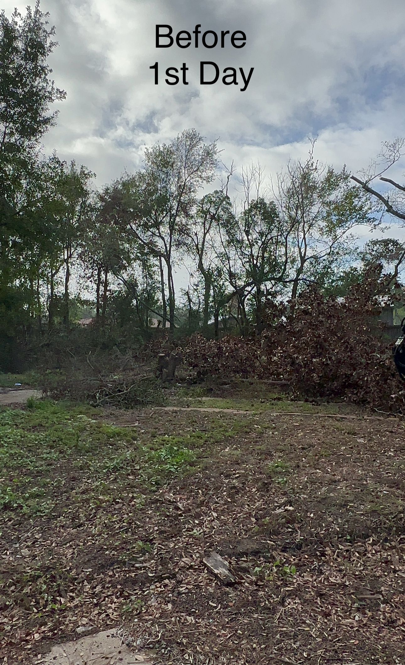 Gallery | Davis Tree Experts | Vidor, TX | Beaumont, TX