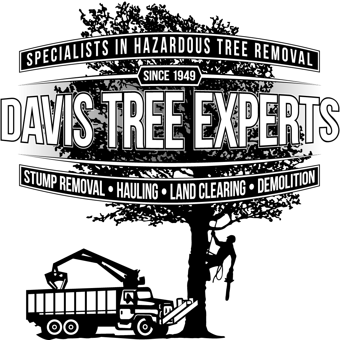 Tree Services Beaumont, TX | Vidor, TX | Davis Tree Experts