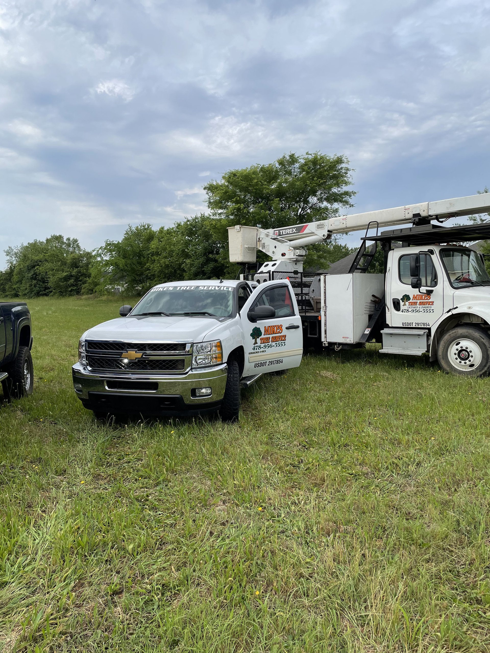 Mike's Tree Service | Arborist | Warner Robins, GA