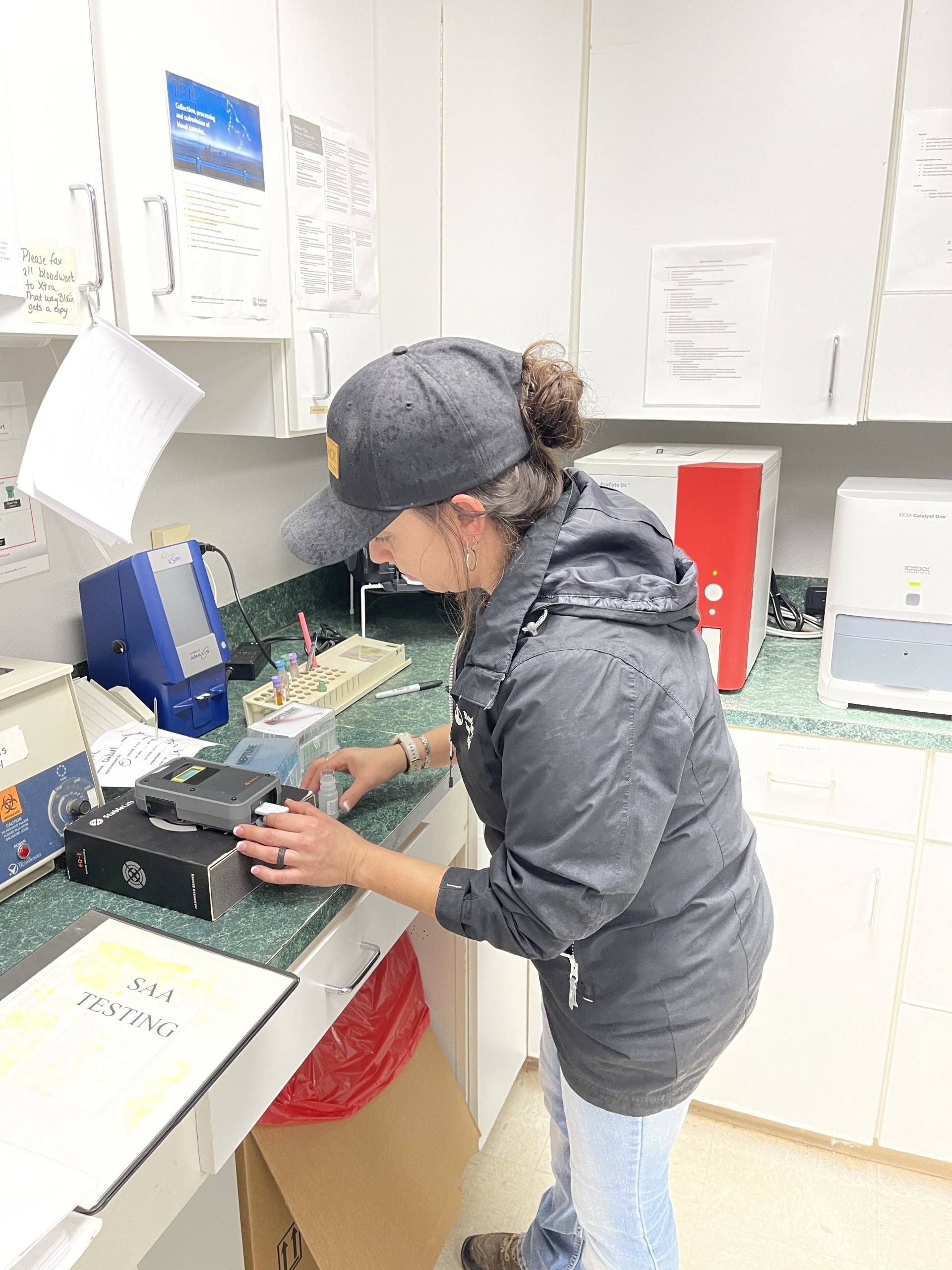 Laboratory Services | In-House Coggins Lab | Goldsby, OK