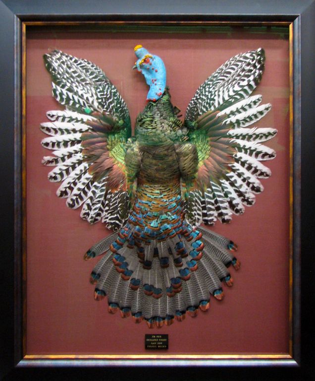 Hall of Frame Gallery and Framing Services | Roseville, CA