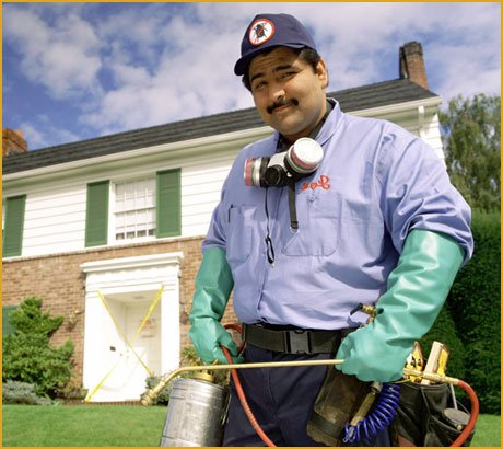 Contact Mr. Pest Control - Charlestown, IN | 502-561-9500
