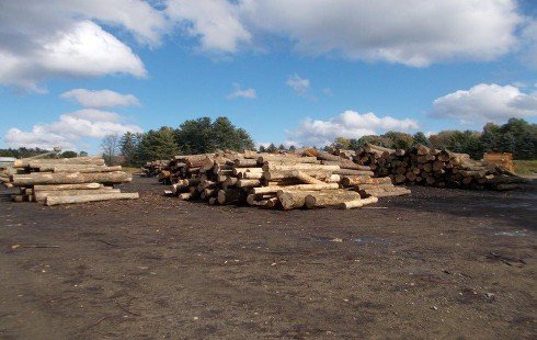 Services | Blue Ox Timber | Titusville, PA