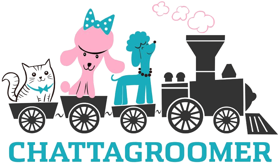 Dog and Cat Grooming | Chattagroomer | Chattanooga, TN