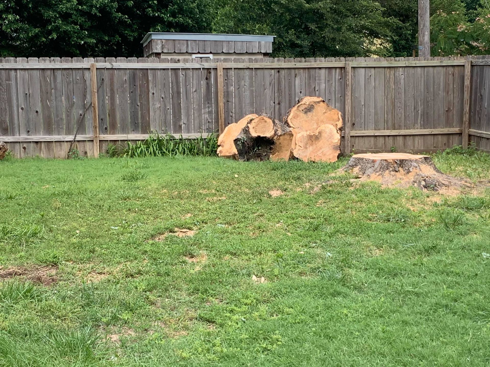 Tree Services | ICT Tree Service | Sedgwick County, KS