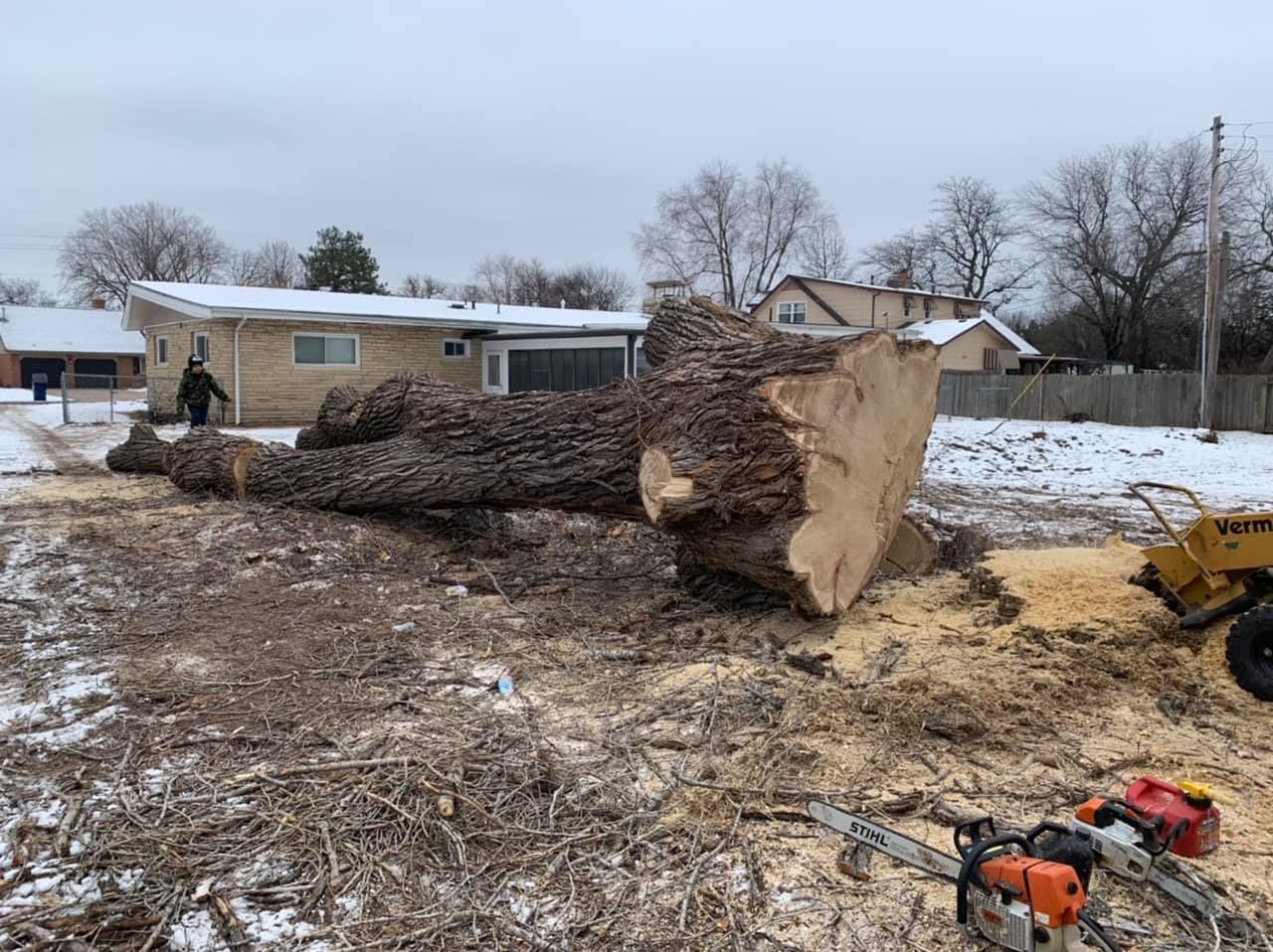 Tree Services | ICT Tree Service | Sedgwick County, KS