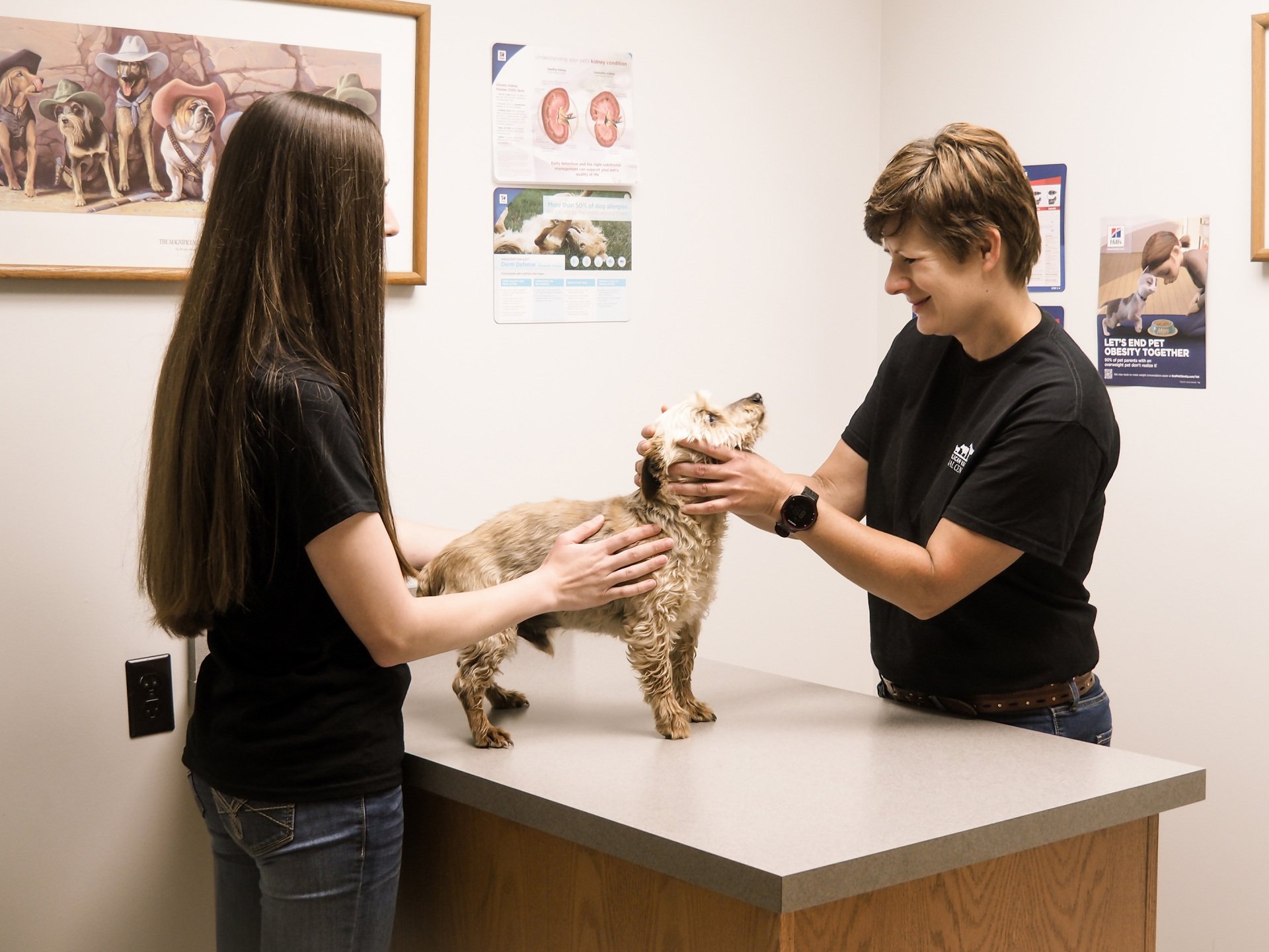 Companion Animal Services | Alma, NE