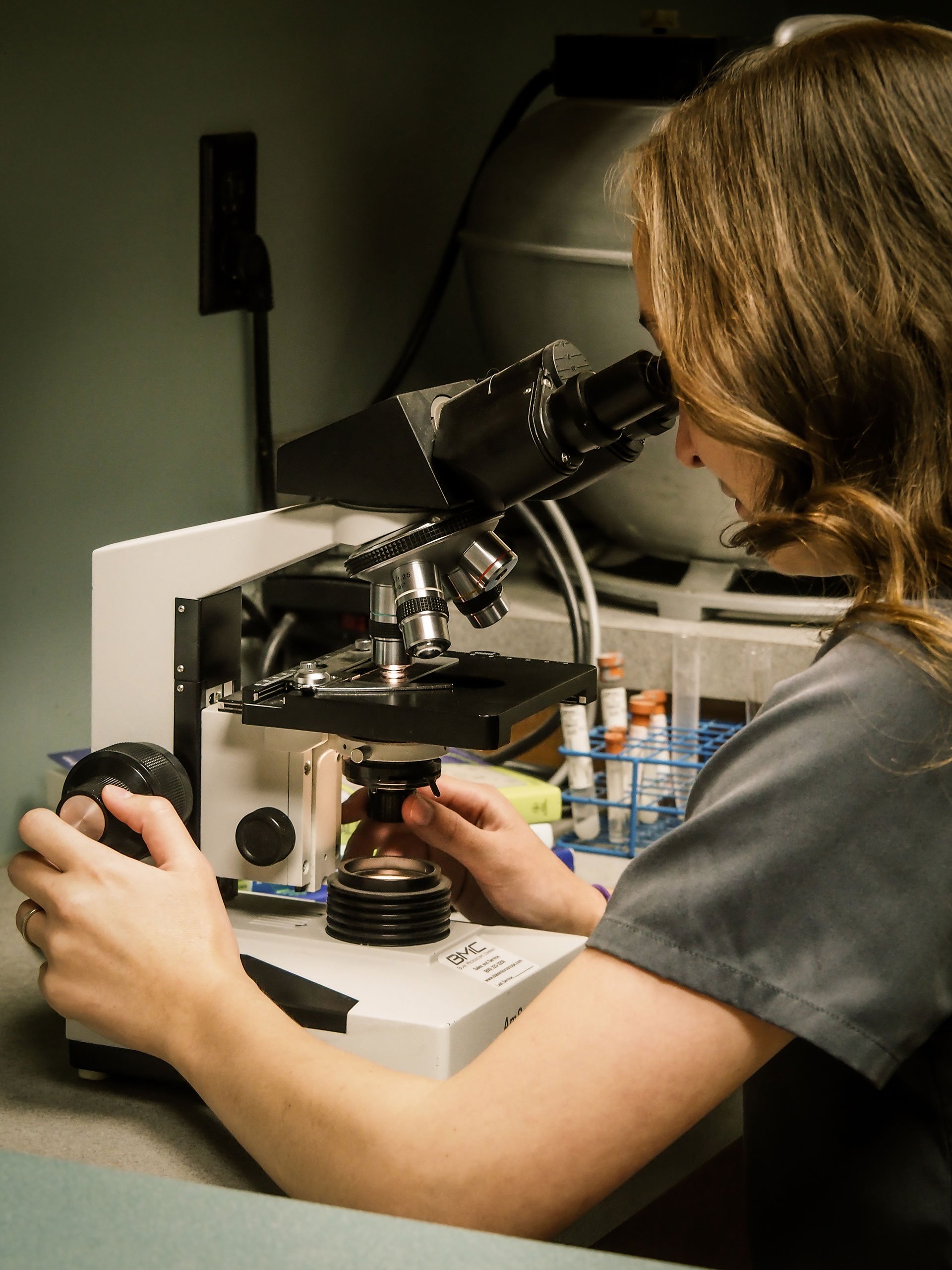 Companion Animal Services | Alma, NE