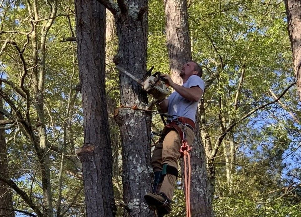 Tree Service Covington, GA | Huckabee Tree Service