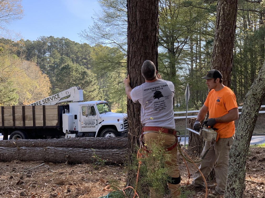 Huckabee Tree Service of Covington | Tree Specialists | Covington, GA