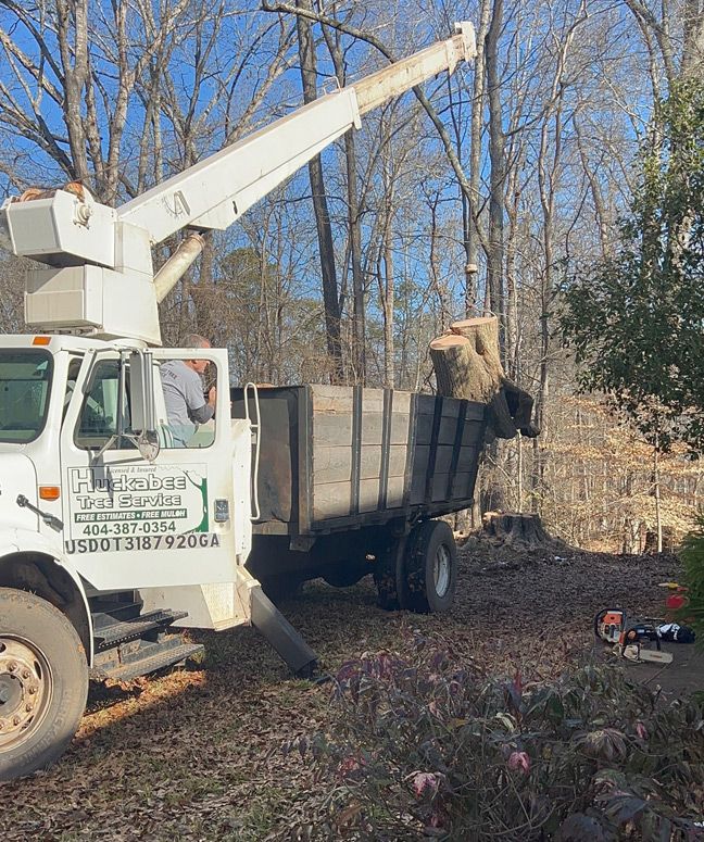 Huckabee Tree Service of Covington | Tree Specialists | Covington, GA