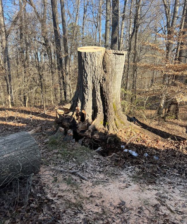Stump Removal | Hazardous Tree Removal | Covington, GA