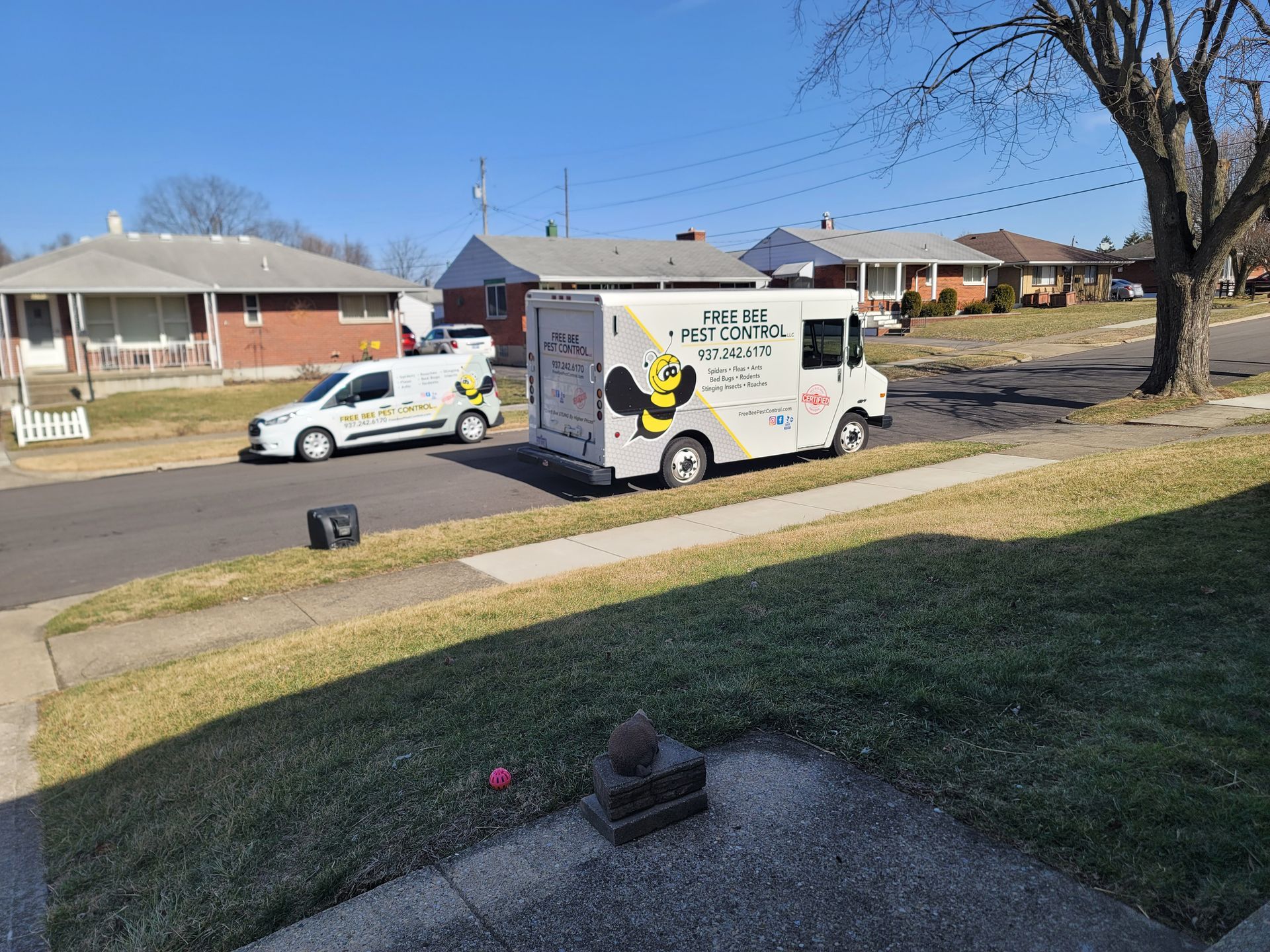 Bed Bug Removal Dayton, OH | Free Bee Pest Control