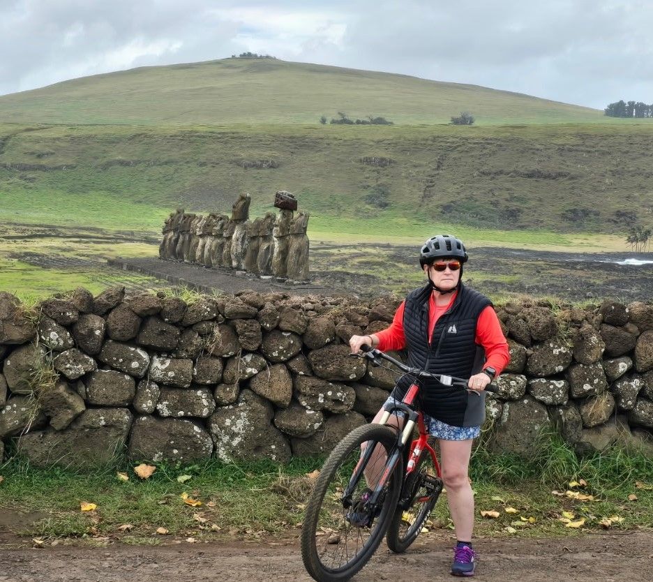 About | Dr. D.M. Fitzgerald & Associates