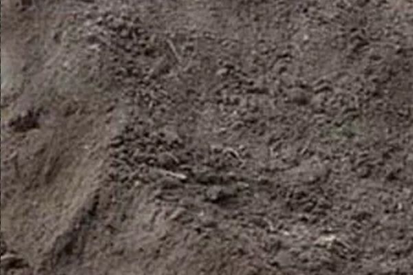 Quality Topsoil | Milton, WI