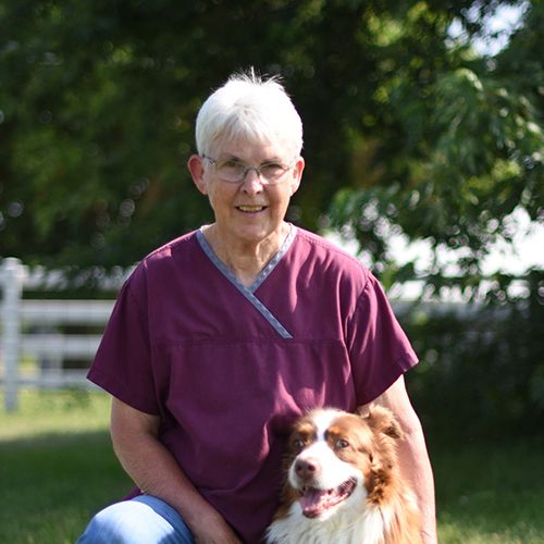 Our Team | Tri-County Veterinary Clinic | Pella, IA