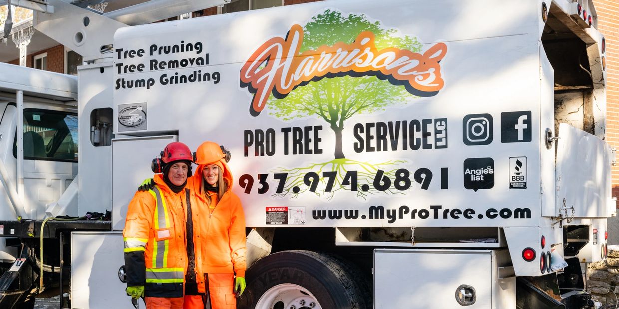 Harrison's Pro Tree Service | Tree Care | Franklin, OH