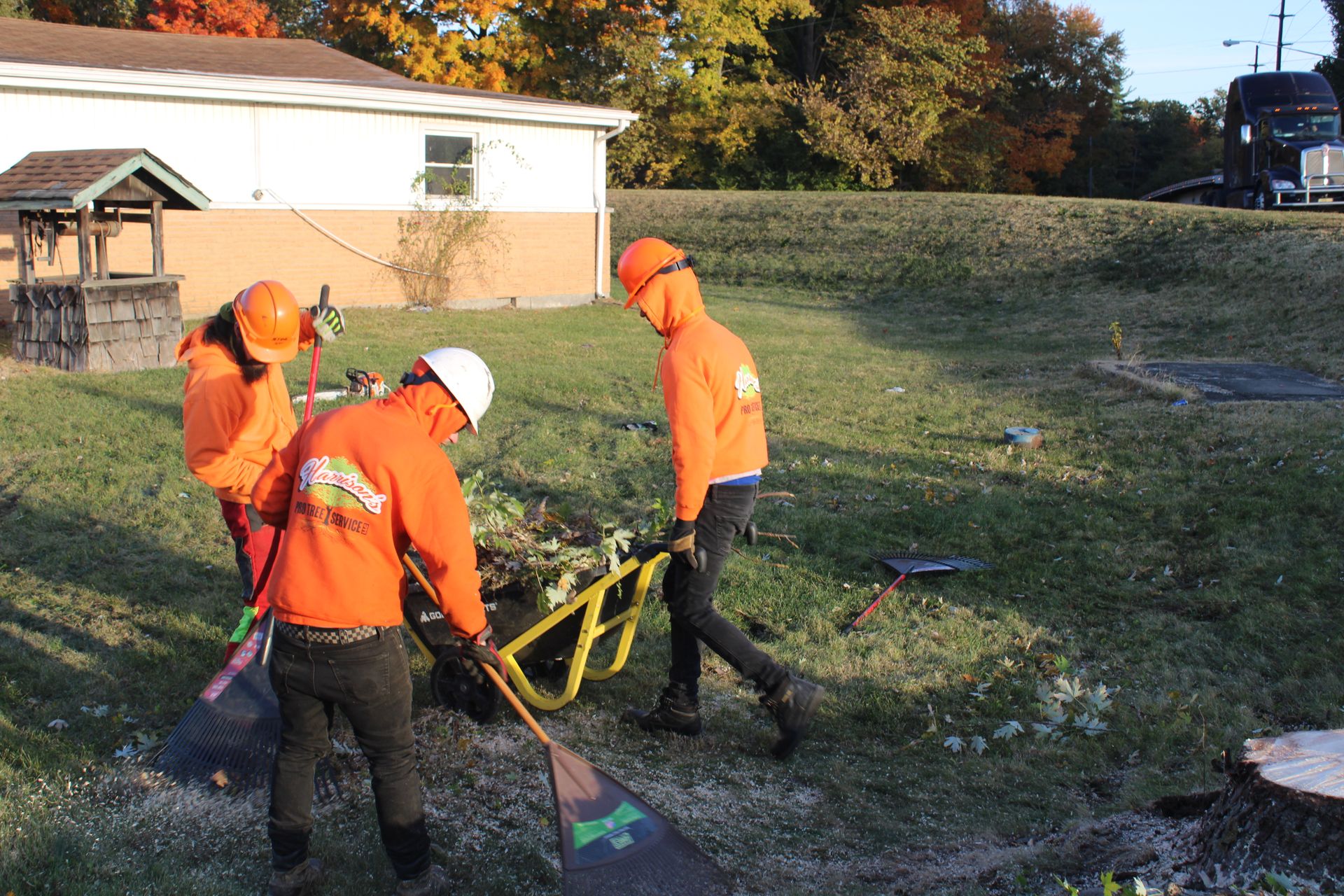 Arborist Springboro, OH | Harrison's Pro Tree Service