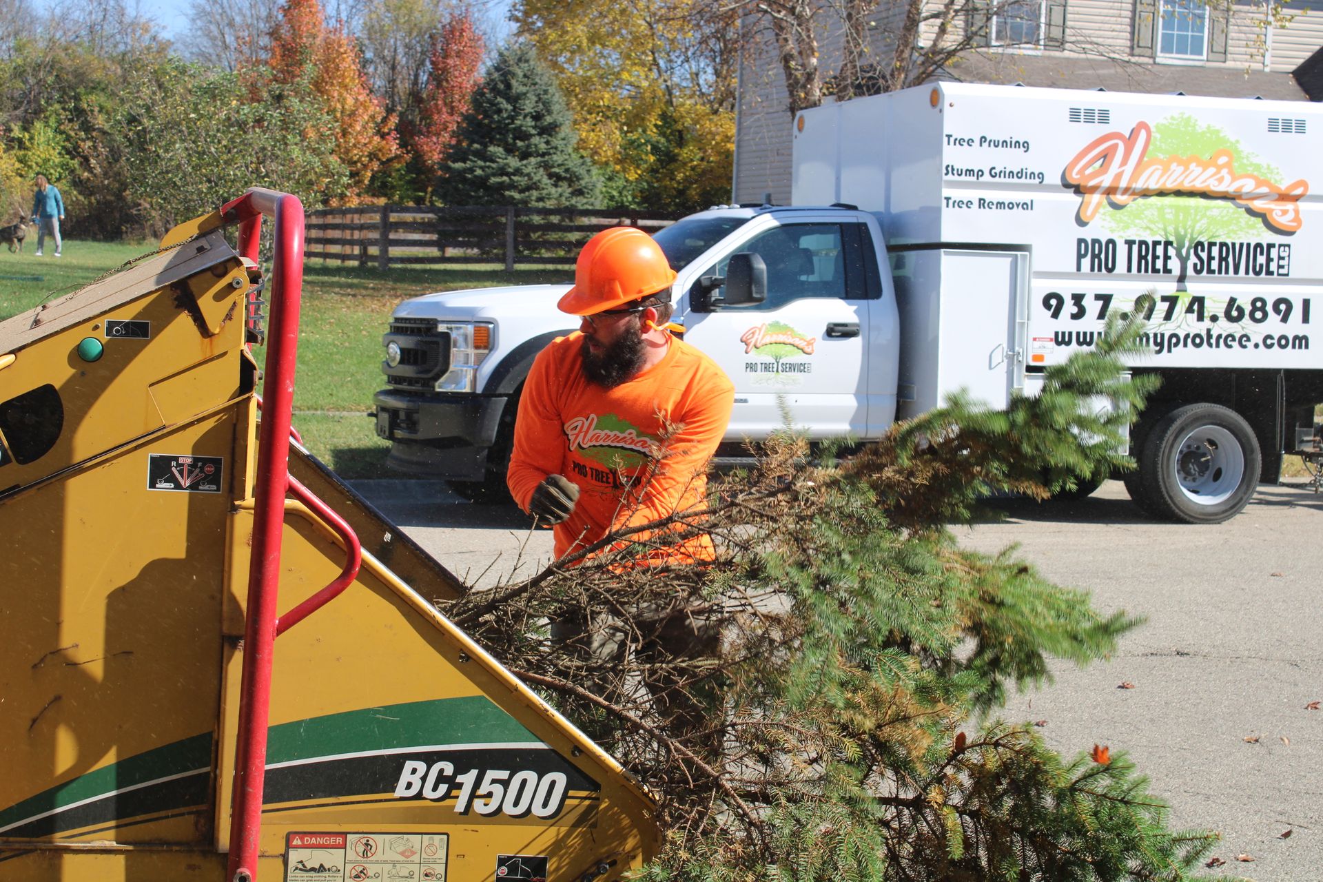 Arborist Springboro, OH | Harrison's Pro Tree Service