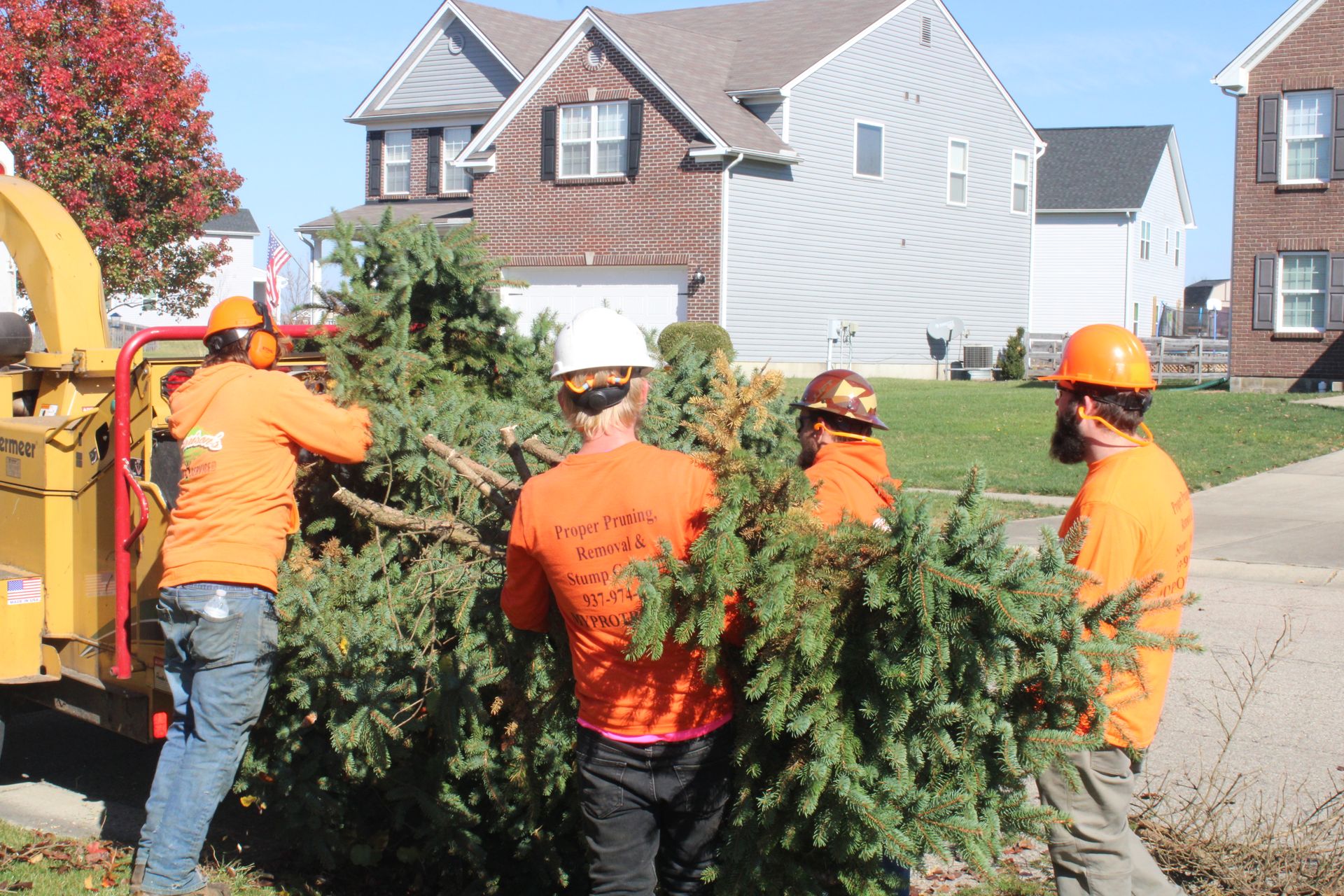 Arborist Springboro, OH | Harrison's Pro Tree Service