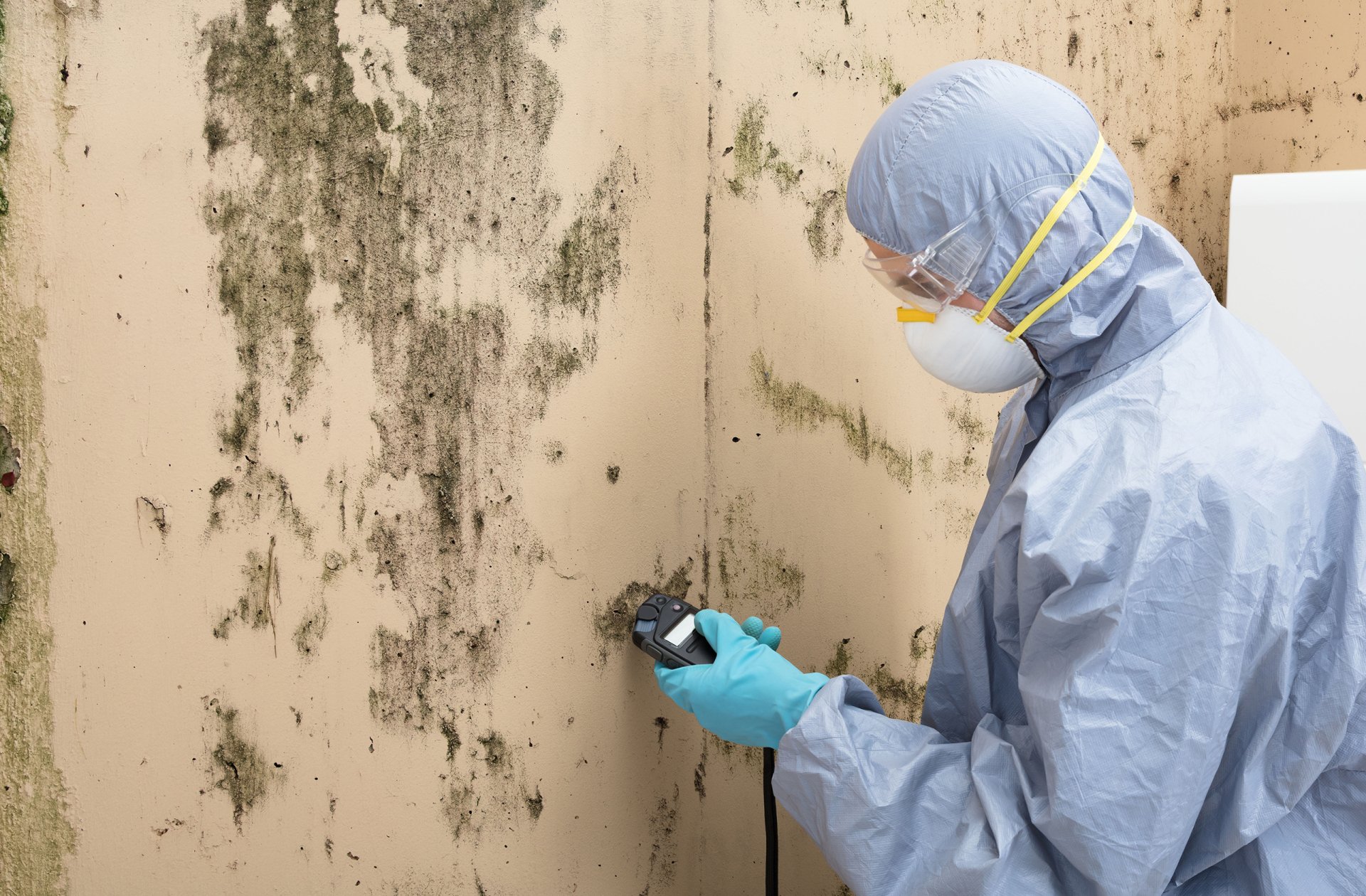 Odoms Home Mold Remediation | Mold Removal | Ridgefield, WA