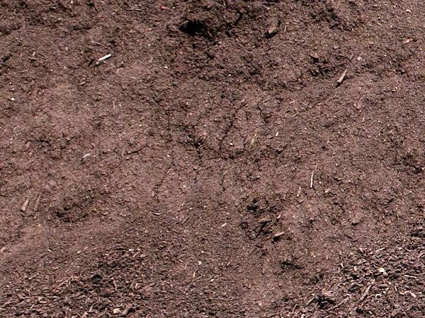 Mulch Canton, MI | Michigan Greenscape Supplies