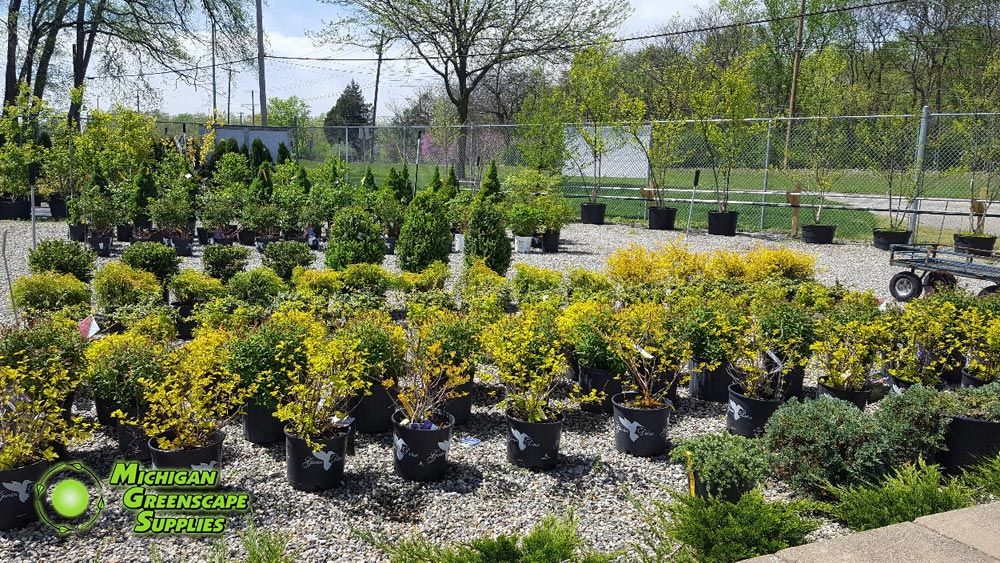 Landscaping Plants Ann Arbor, MI | Canton, MI