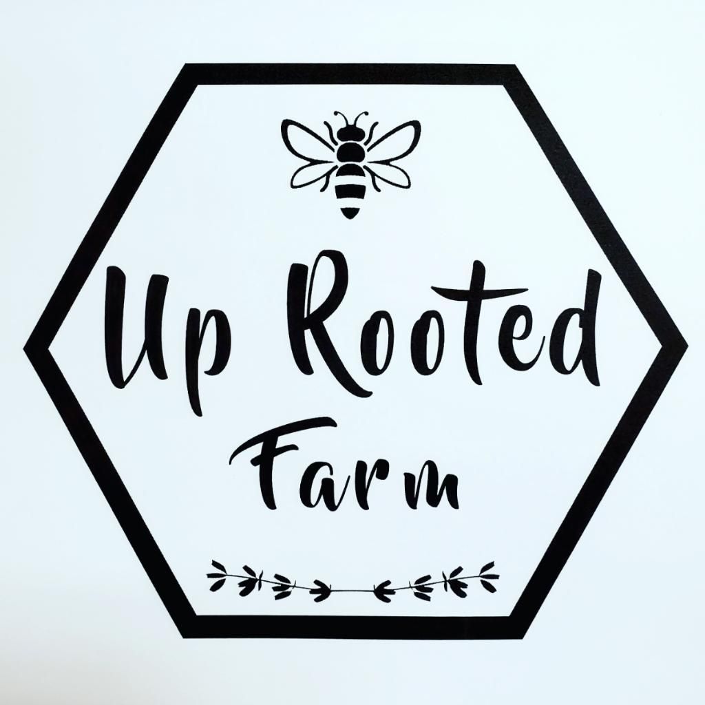 Ground Roots Coffee | Coffee Shop | Oak Grove, MO