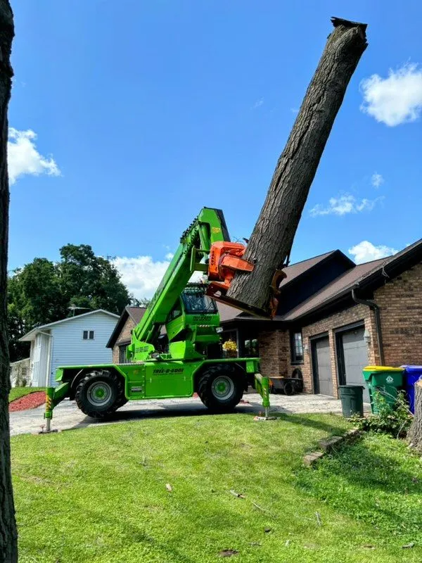 Emergency Tree Removal Green Bay, WI | De Pere, WI