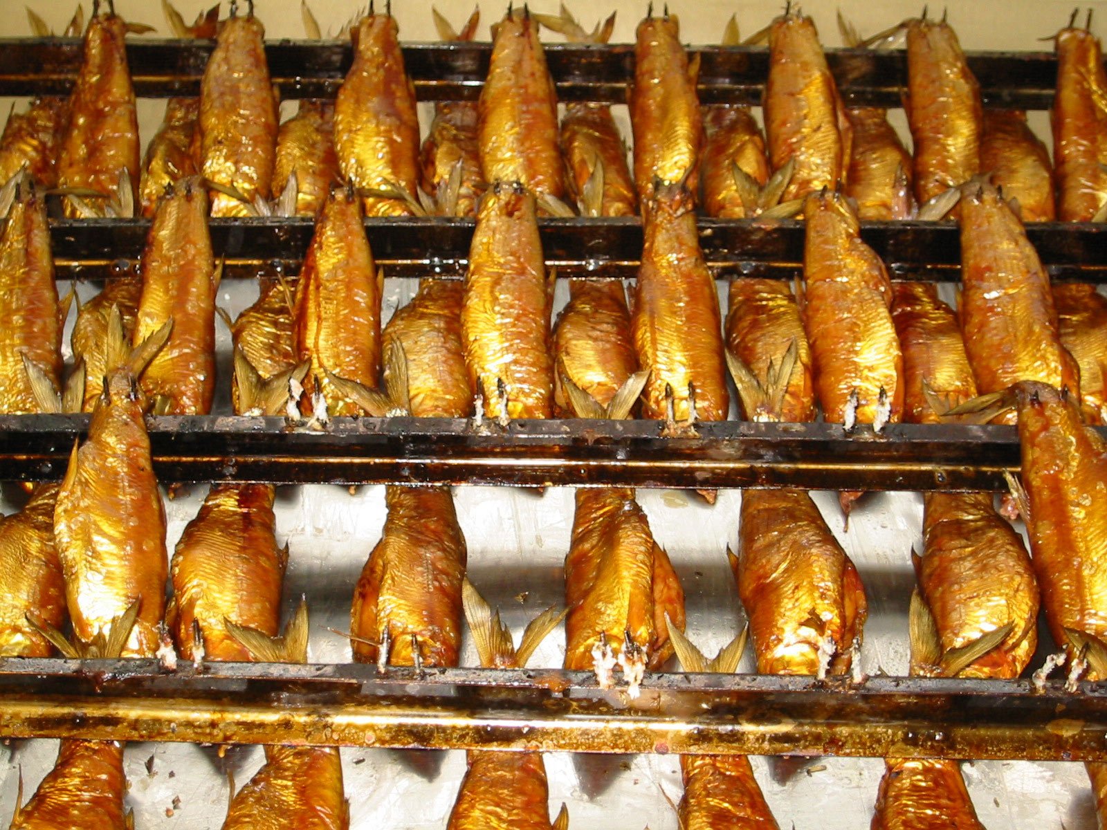 Gallery | Schwarz Fish Company